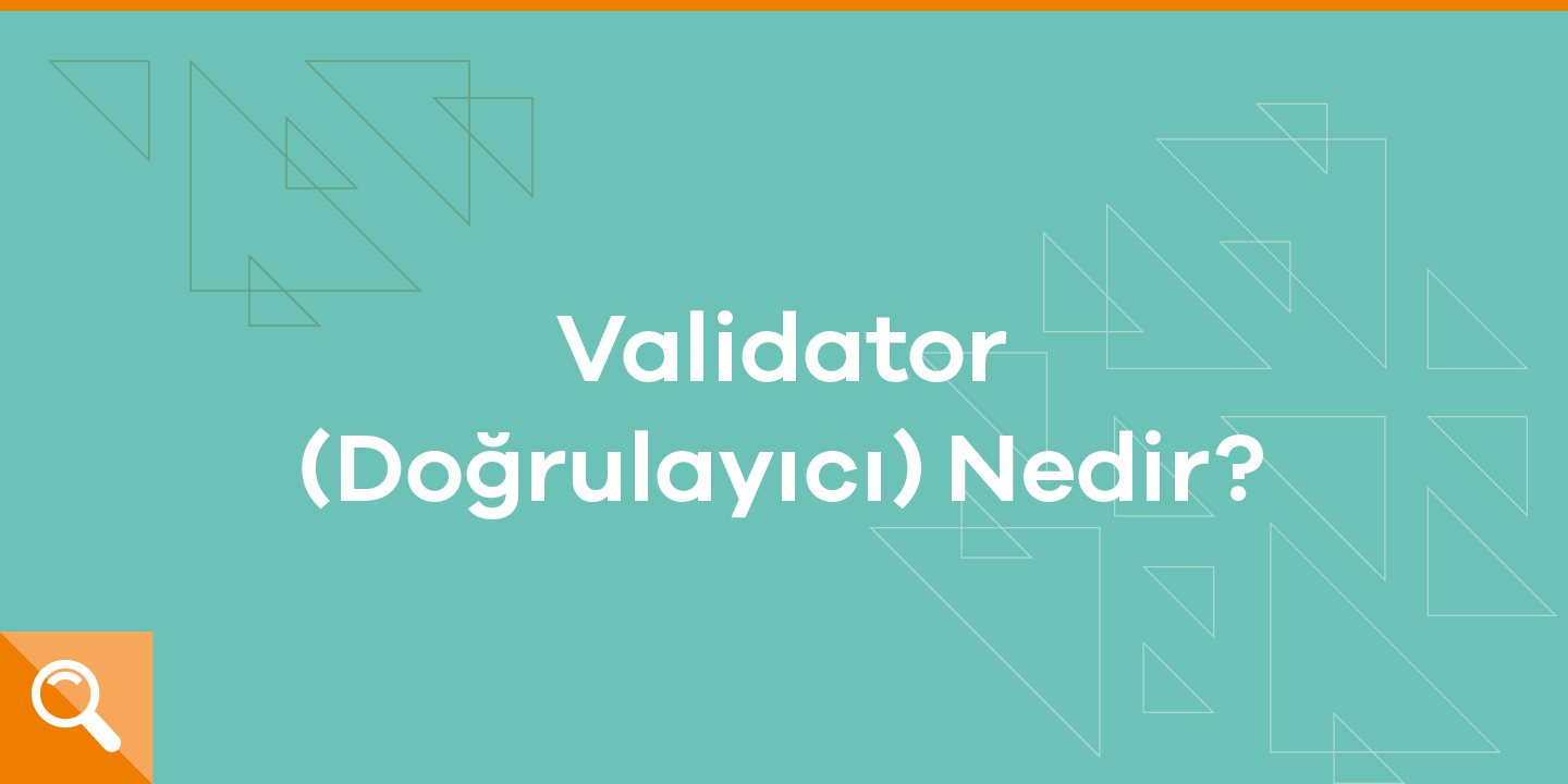 Validator (Doğrulayıcı) nedir? - ParibuLog