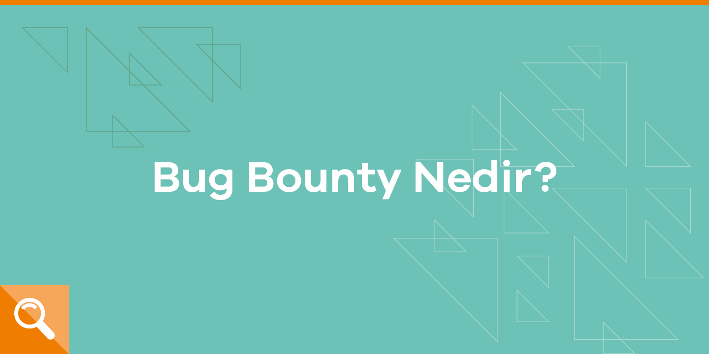 Bug bounty (hata ödülü) nedir? - ParibuLog