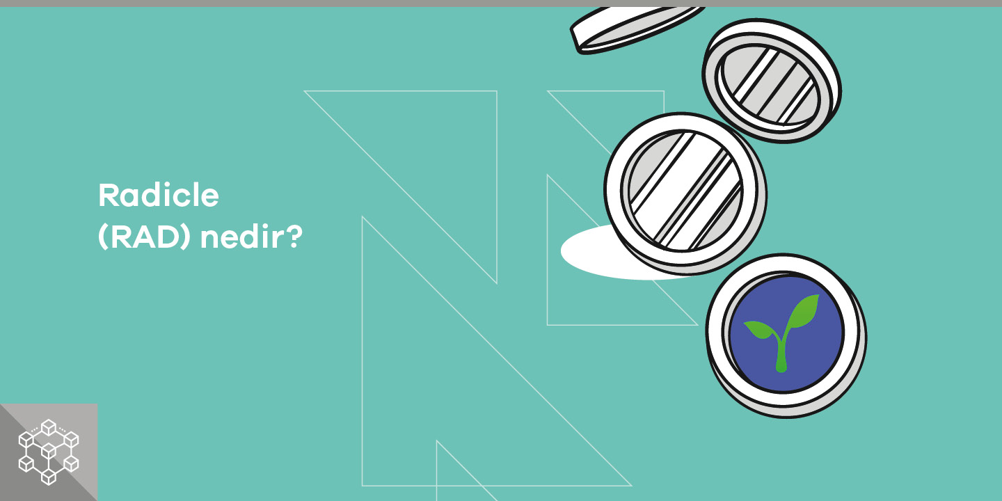 Radicle (RAD) nedir? - ParibuLog