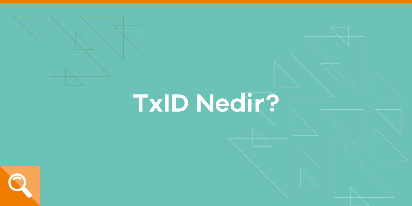 TxID nedir? - ParibuLog