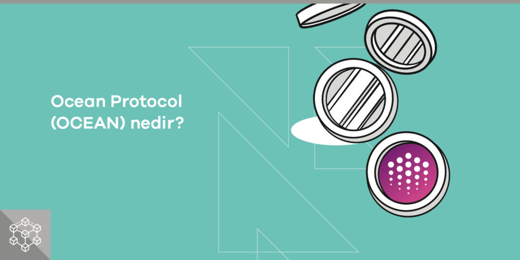 Ocean Protocol (OCEAN) nedir? - ParibuLog
