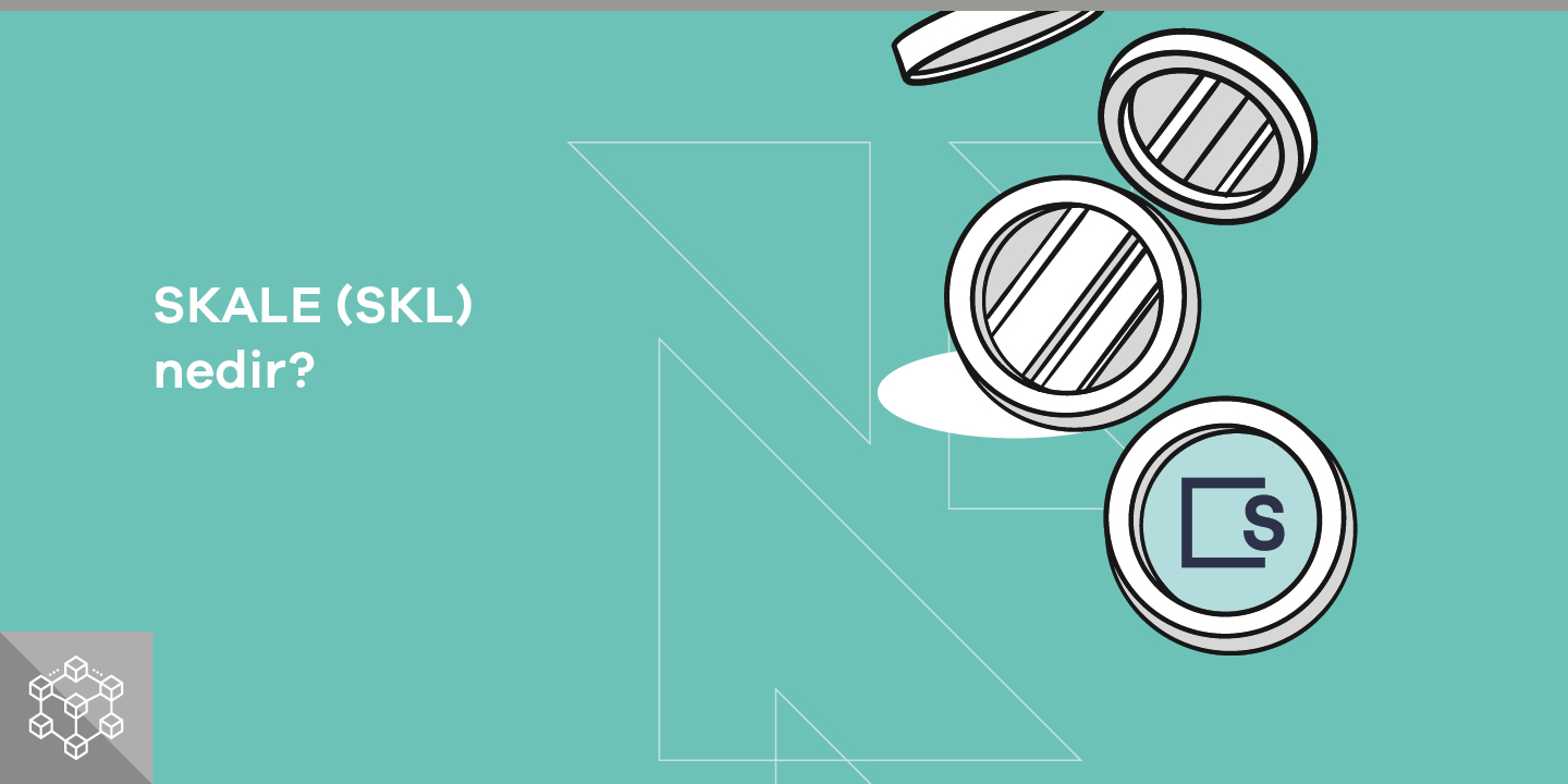 SKALE (SKL) nedir? - ParibuLog