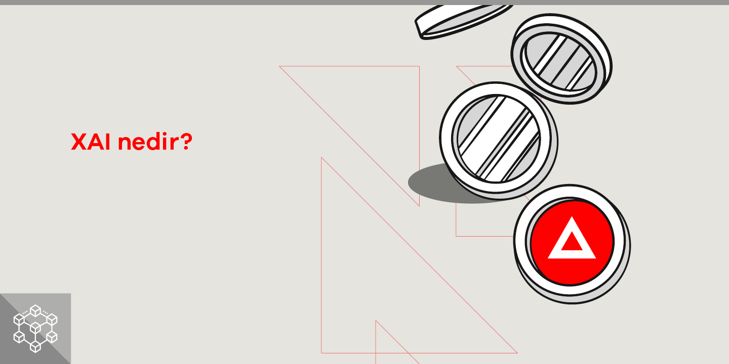 Xai (XAI) nedir? - ParibuLog