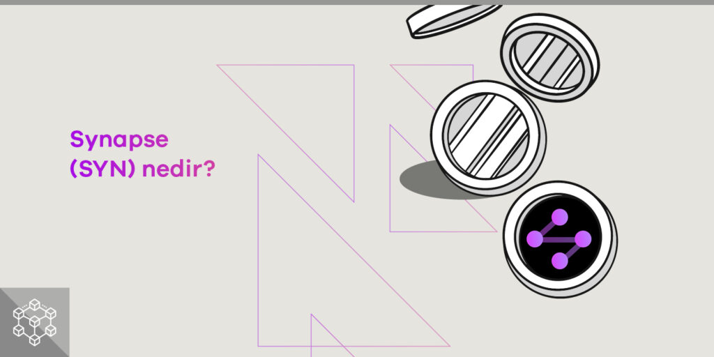 Synapse (SYN) Nedir? - ParibuLog