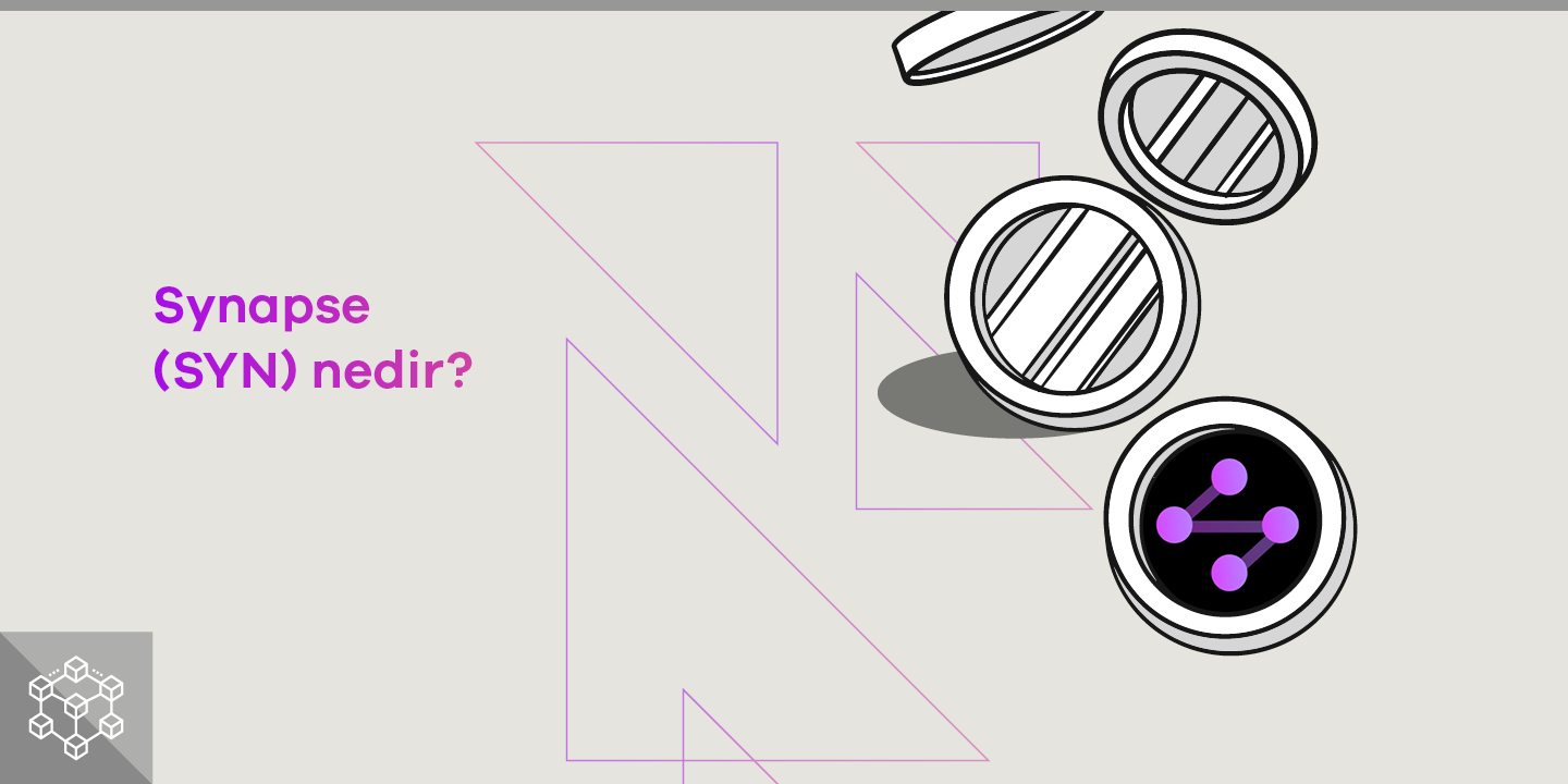 Synapse (SYN) Nedir? - ParibuLog