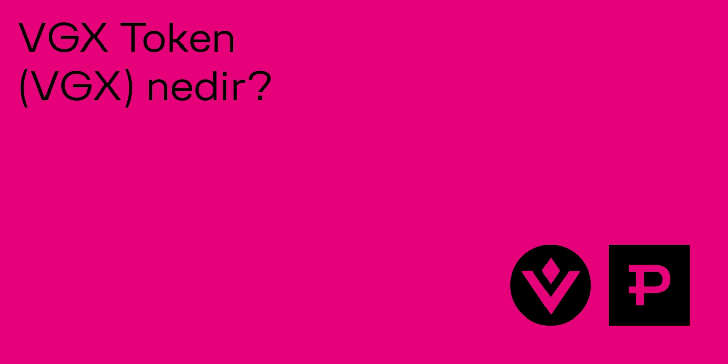 VGX Token (VGX) nedir? - ParibuLog