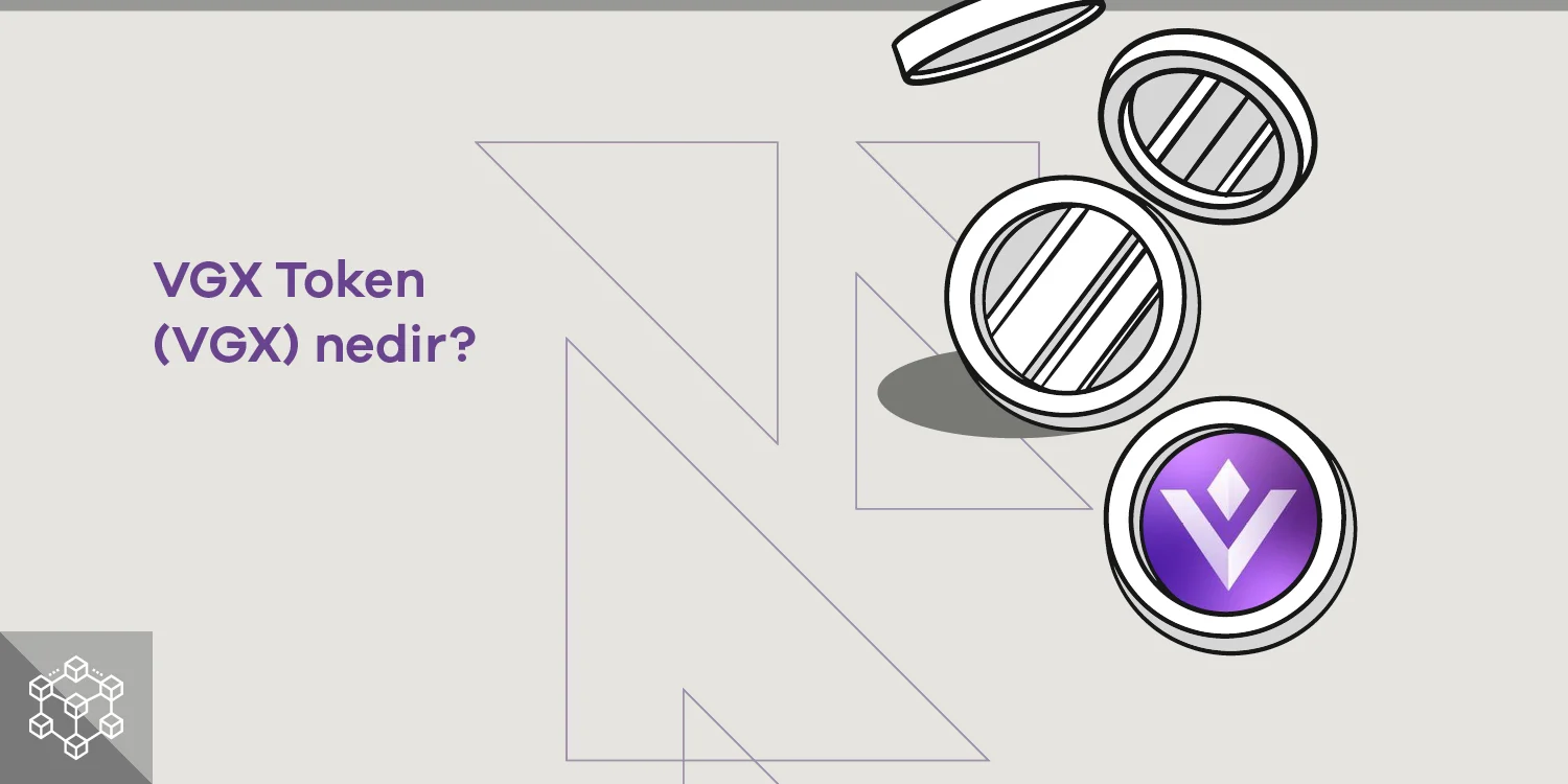 VGX Token (VGX) nedir? - ParibuLog